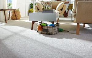 Stainmaster Carpet Review - Our Honest Opinion with Pros and Cons